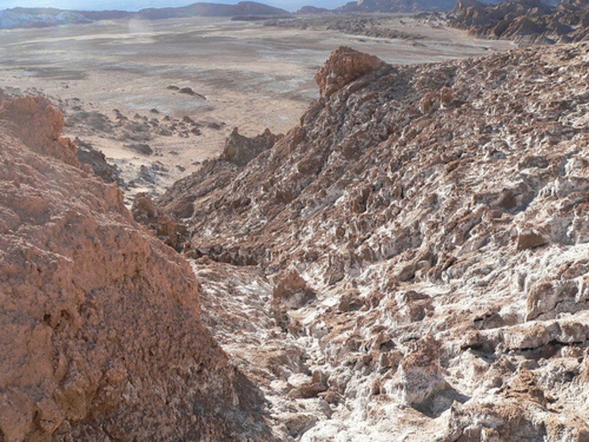 Atacama Desert Is the Driest Place on Earth. yet It's Not Lifeless ...