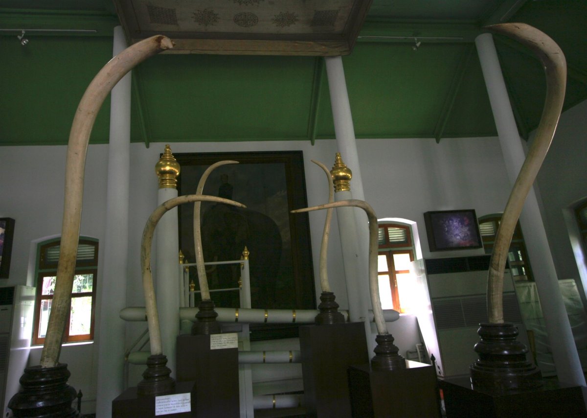 Royal Elephant National Museum in Bangkok Thailand - HubPages