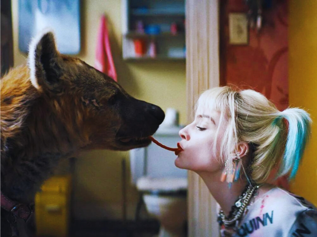 10 Facts About Harley Quinn You Must Need to Know! - HubPages