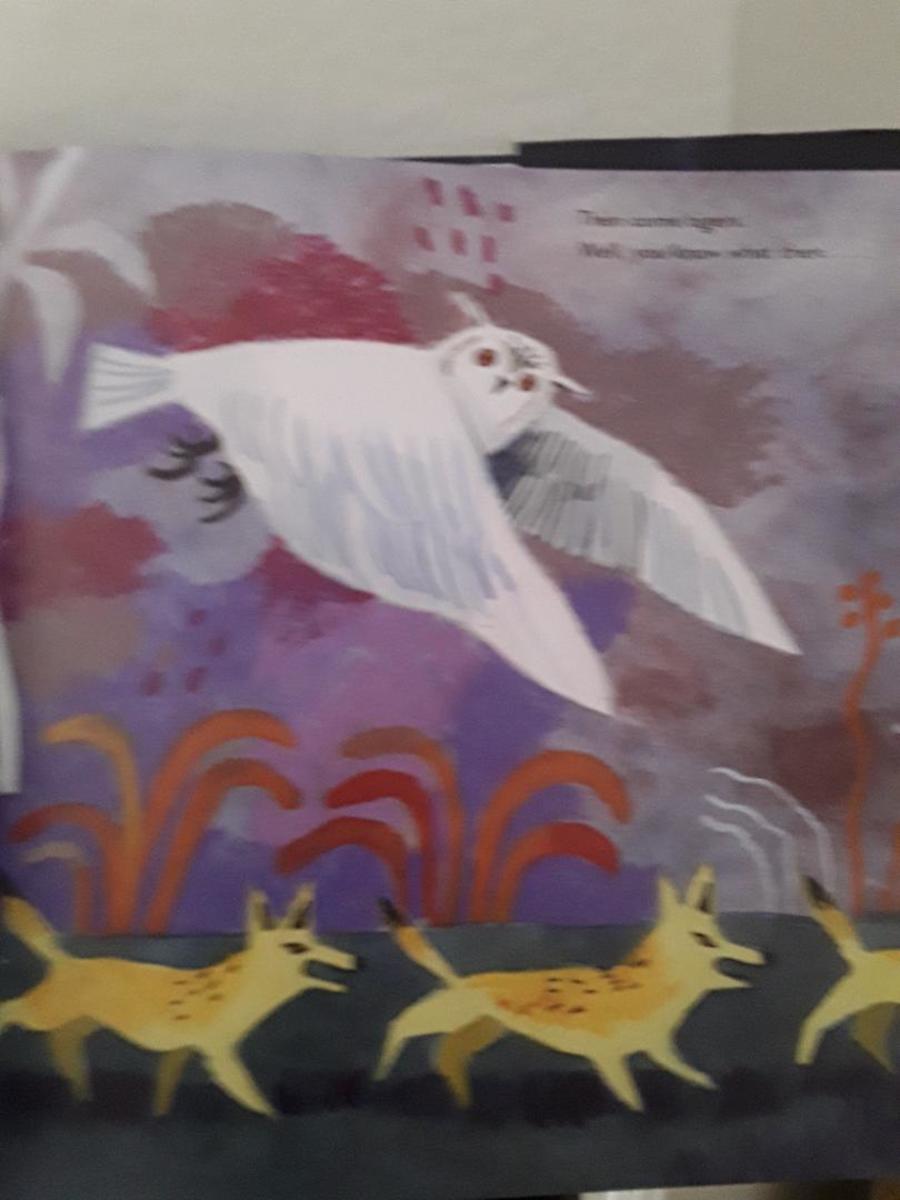 Animals of the Night in Gorgeously Illustrated Picture Book and Story ...