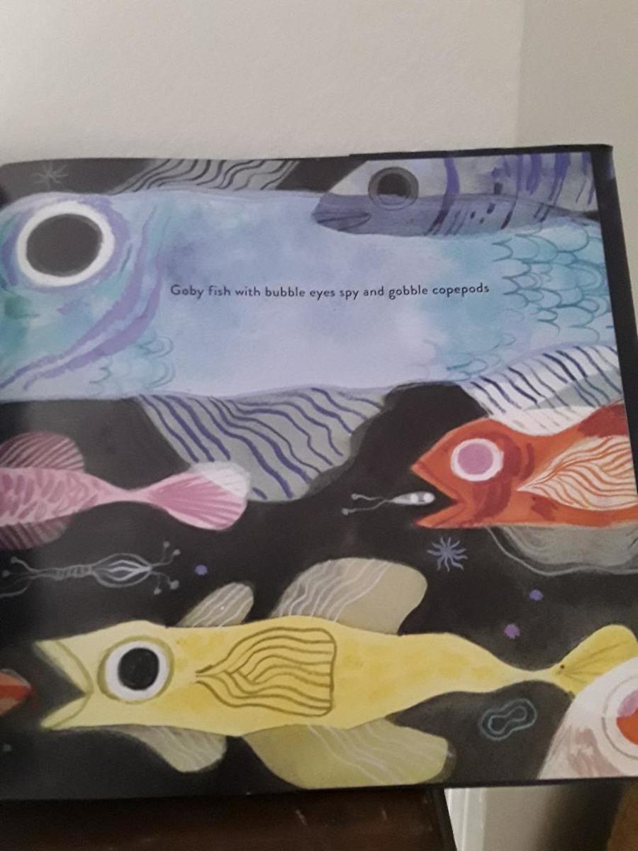 Animals of the Night in Gorgeously Illustrated Picture Book and Story ...