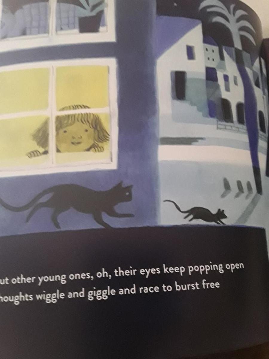 Animals of the Night in Gorgeously Illustrated Picture Book and Story ...