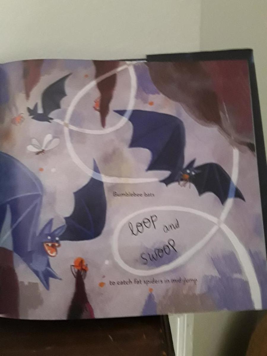 Animals of the Night in Gorgeously Illustrated Picture Book and Story ...