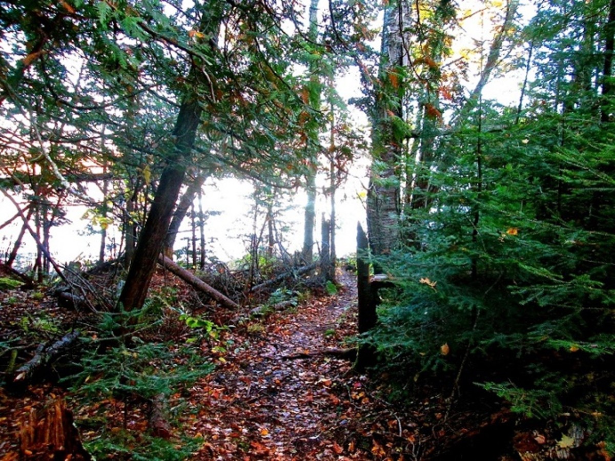 Native American Frog Bay Tribal National Park - Travel Wisconsin - HubPages