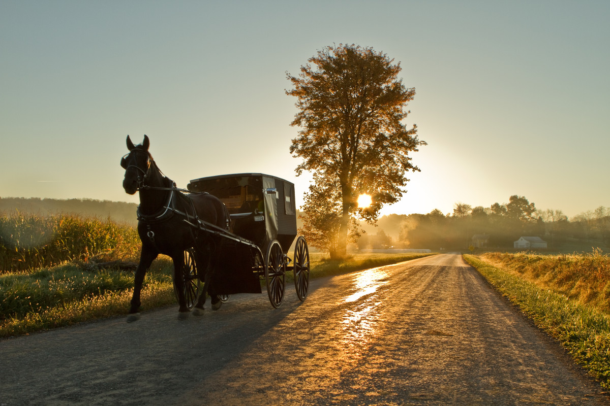 Footage of an Amish Buggy Drifting Around the Corner Has the Internet ...