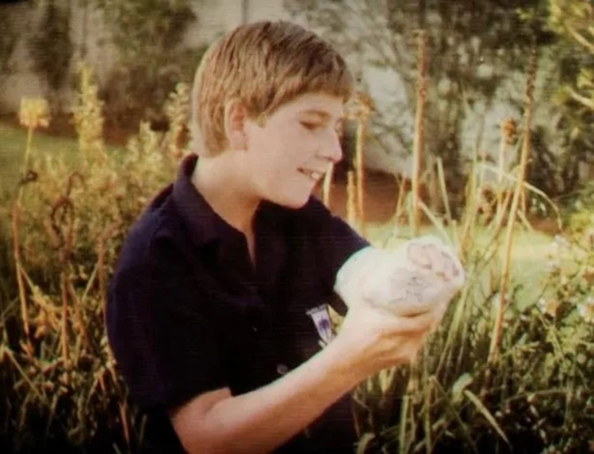 Steven Clark: Vanished From a Public Restroom - HubPages