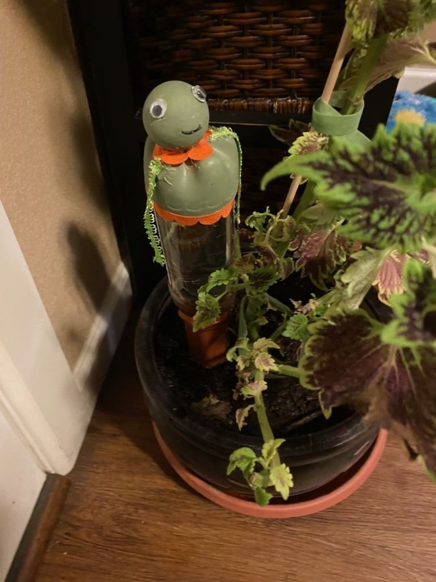 DIY Pretty Water Bottle Ideas for Terracotta Watering Spikes - HubPages