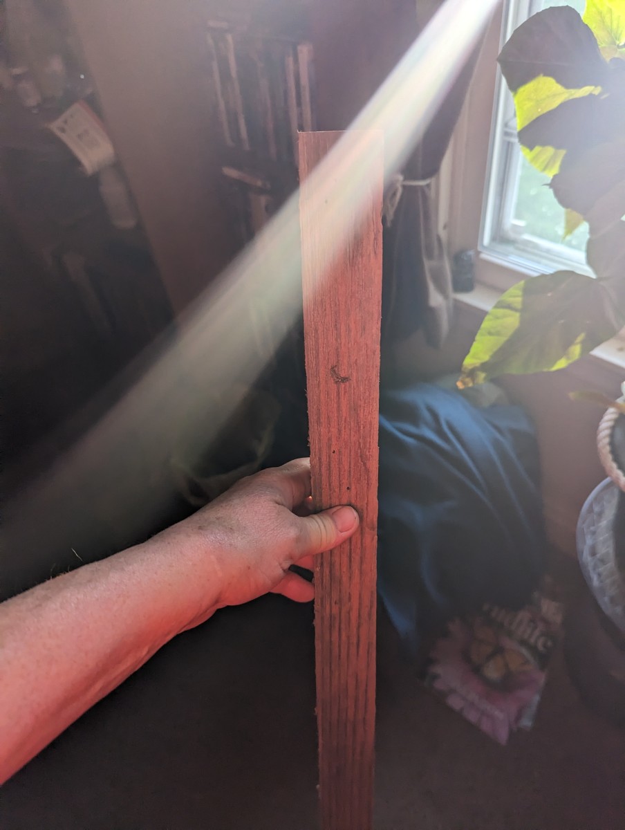 Begonia is Getting too Tall and Tipping Over - HubPages