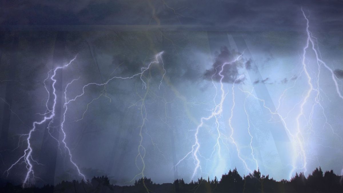 Story of Mouse Deer and the Elephant: Retelling of Malay Folklore ...