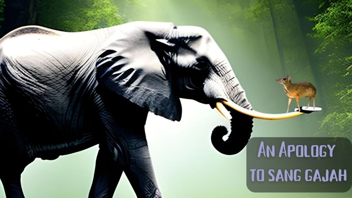 Story of Mouse Deer and the Elephant: Retelling of Malay Folklore ...
