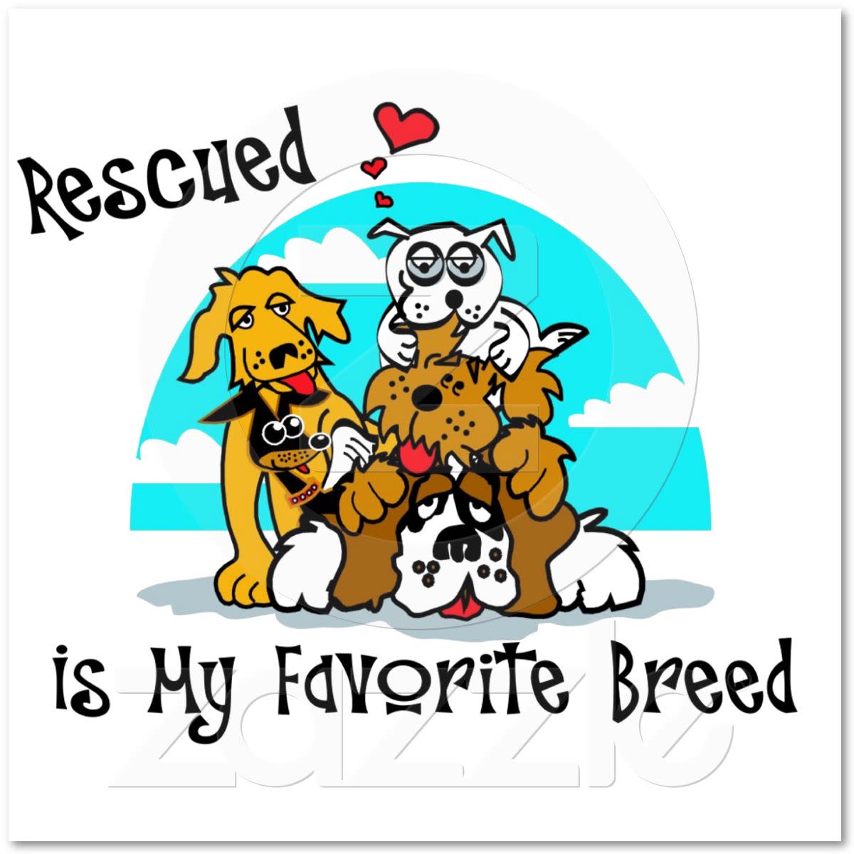 DOG AUCTIONS and PUPPY MILLS ~ What Really Goes On? - HubPages