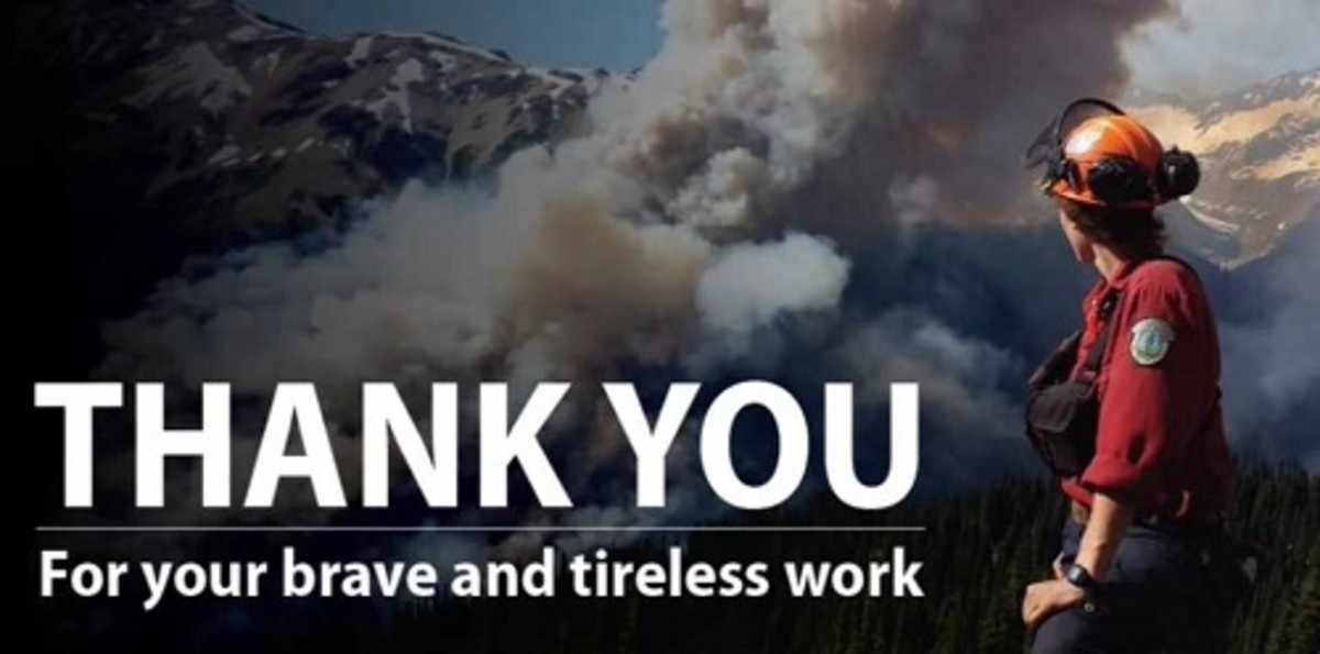 THE 4 FIREFIGHTERS IN B.C DIED IN FRONT LINES AND THE MOST DEVASTATING ...