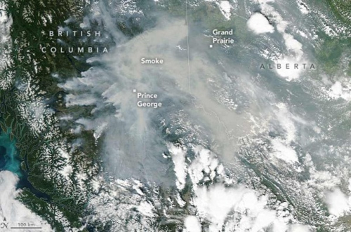 THE 4 FIREFIGHTERS IN B.C DIED IN FRONT LINES AND THE MOST DEVASTATING ...