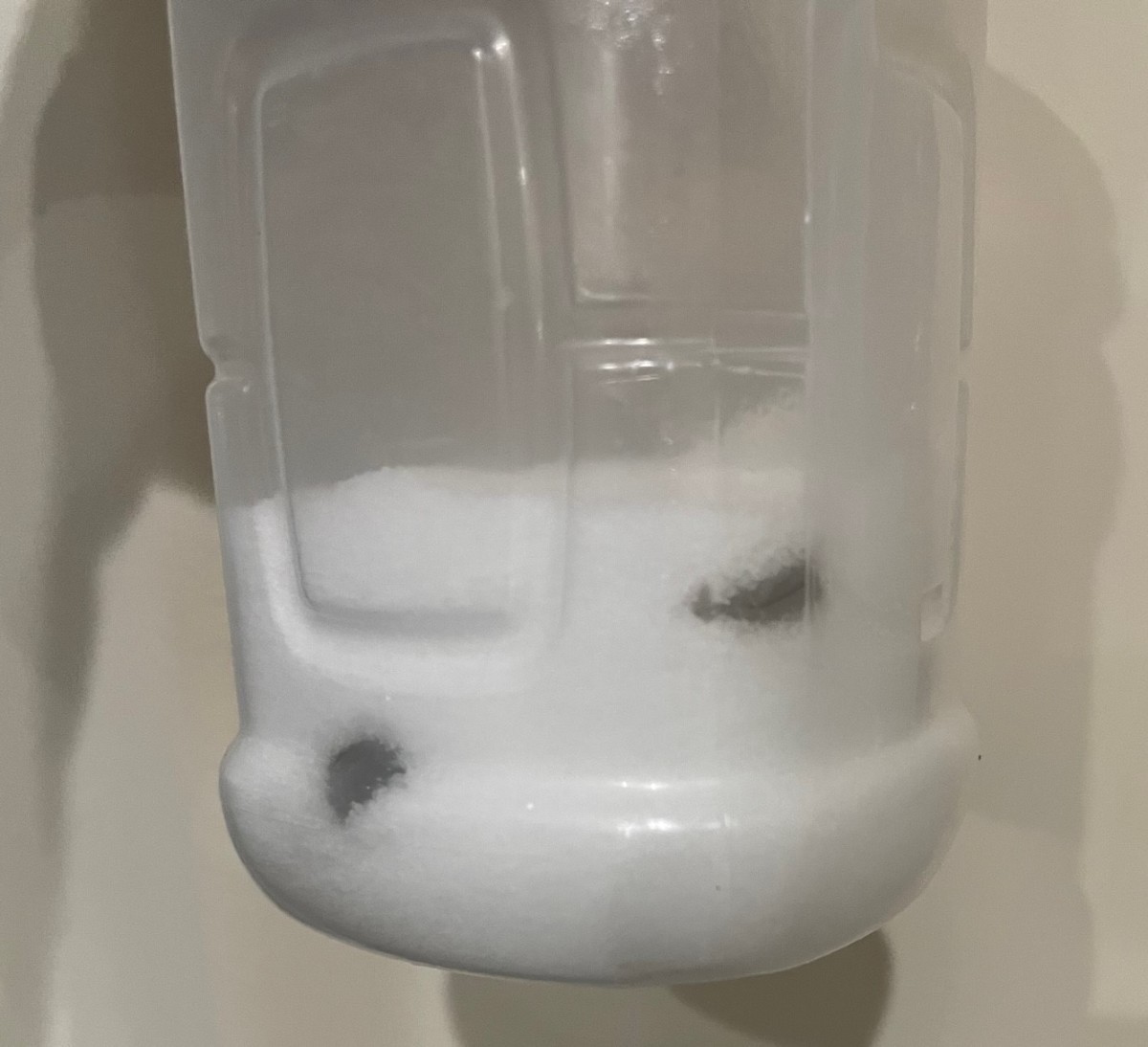 Salt-Curing and Storing Bait Shrimp - HubPages