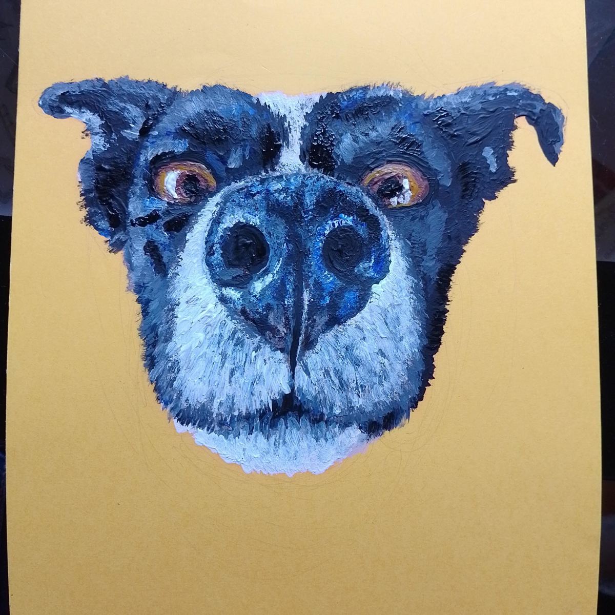 What I Have Learned from Adopting a Rescue Collie in Ireland - HubPages