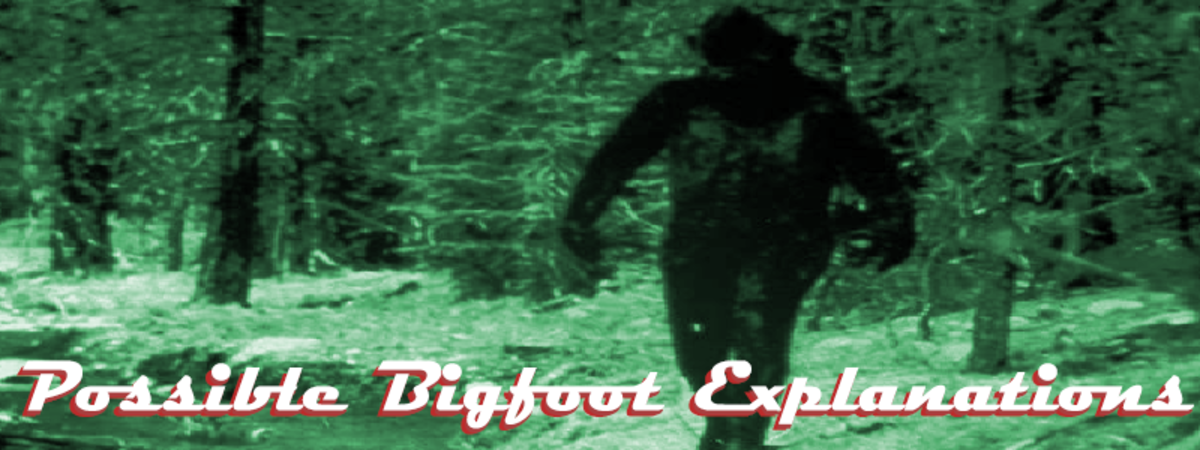 Bigfoot, the Truth Behind the Myth - HubPages