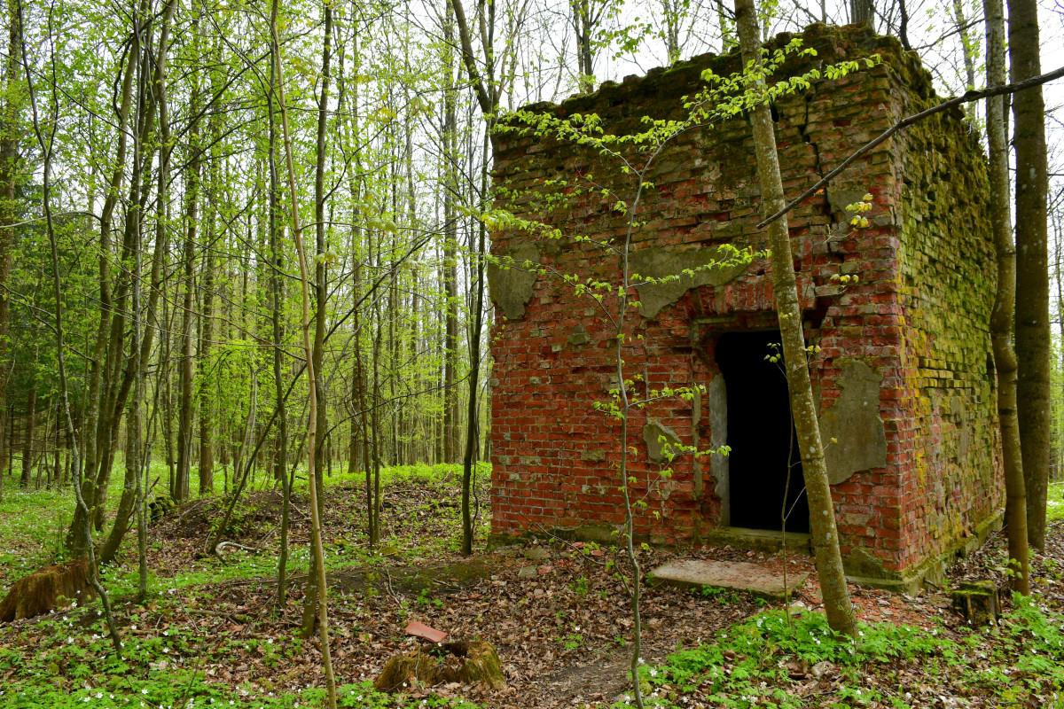 Woman Discovers ‘Witch’s Well’ In Forest - HubPages
