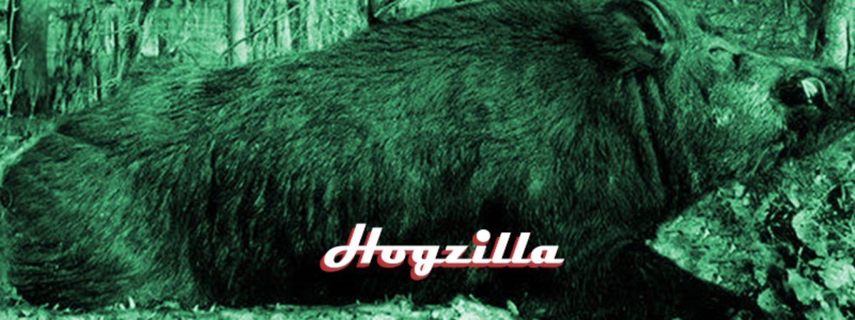 Top 10 Cryptids That Turned out to Be Real - HubPages