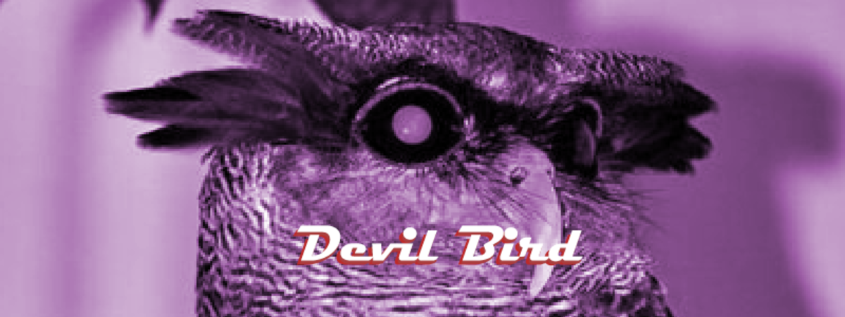 Top 10 Cryptids That Turned out to Be Real - HubPages