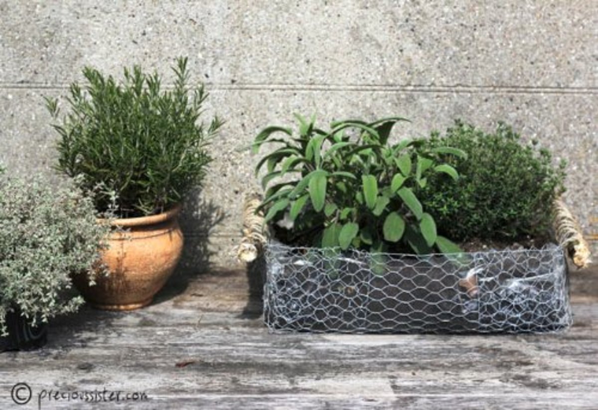 41 Rustic Chicken Wire Craft Ideas - HubPages