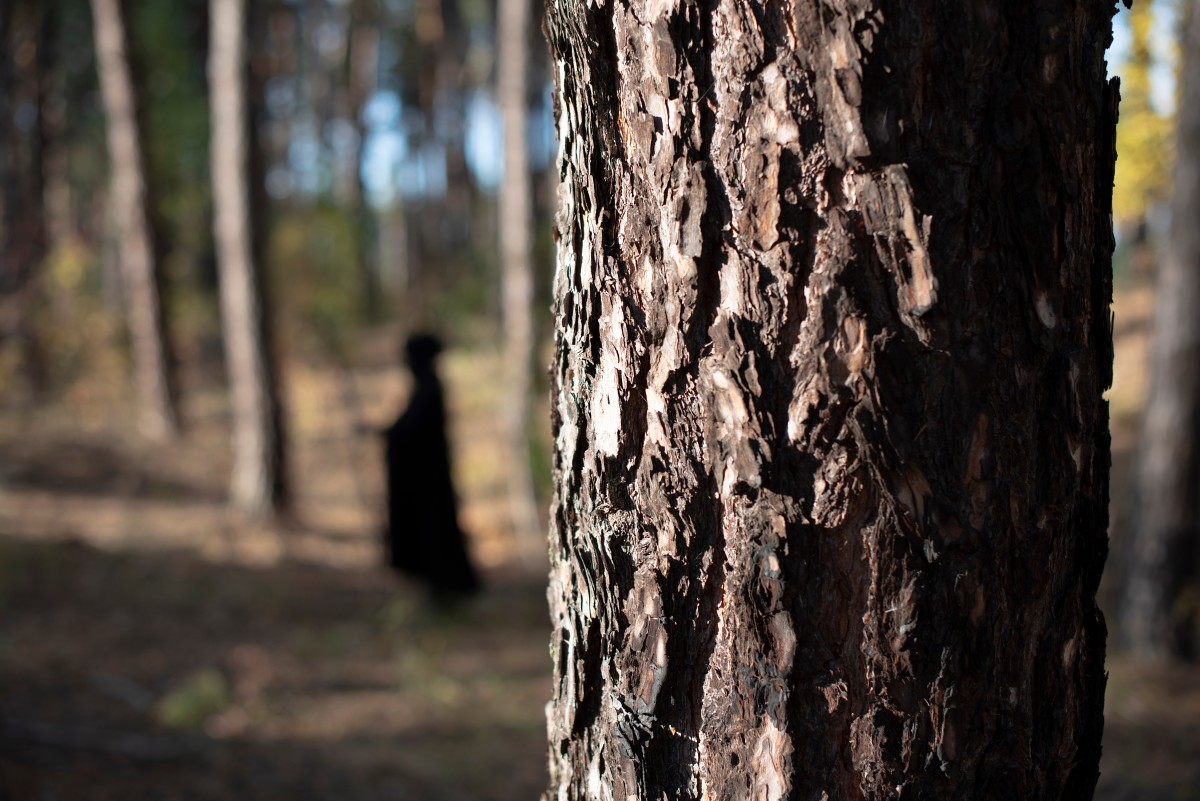 Hunter Claims To Have Caught Footage of "Skinwalker" in Tree - HubPages