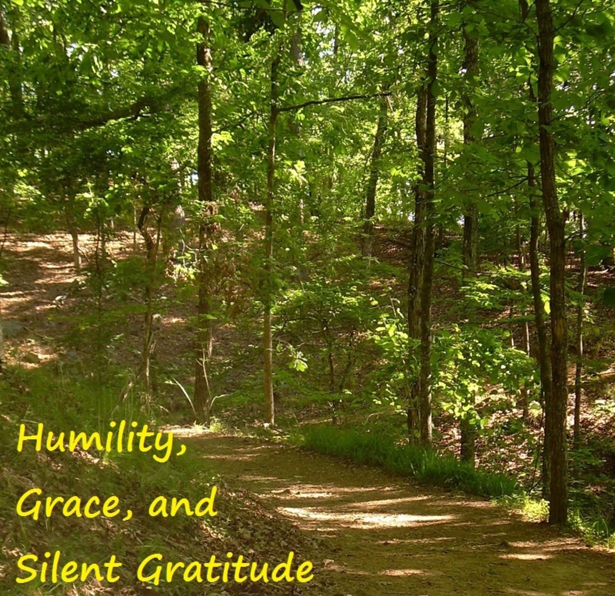 Paul K Francis on HubPages