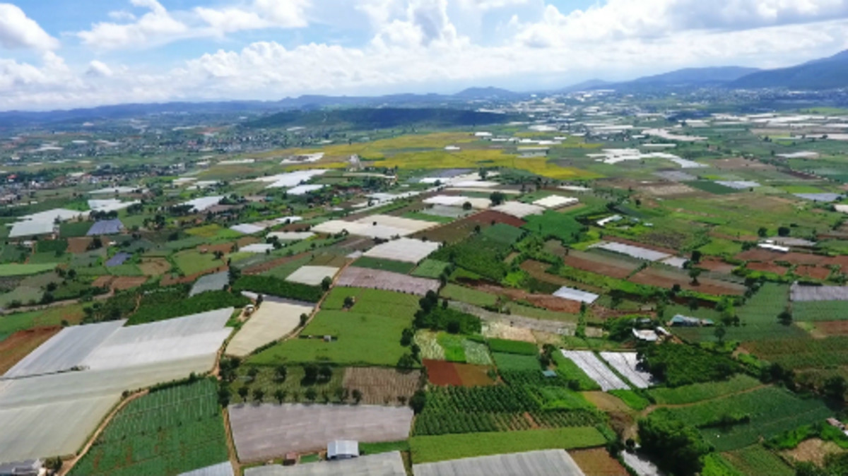 Don Duong & Lam Ha - Lam Dong - a place to go - HubPages