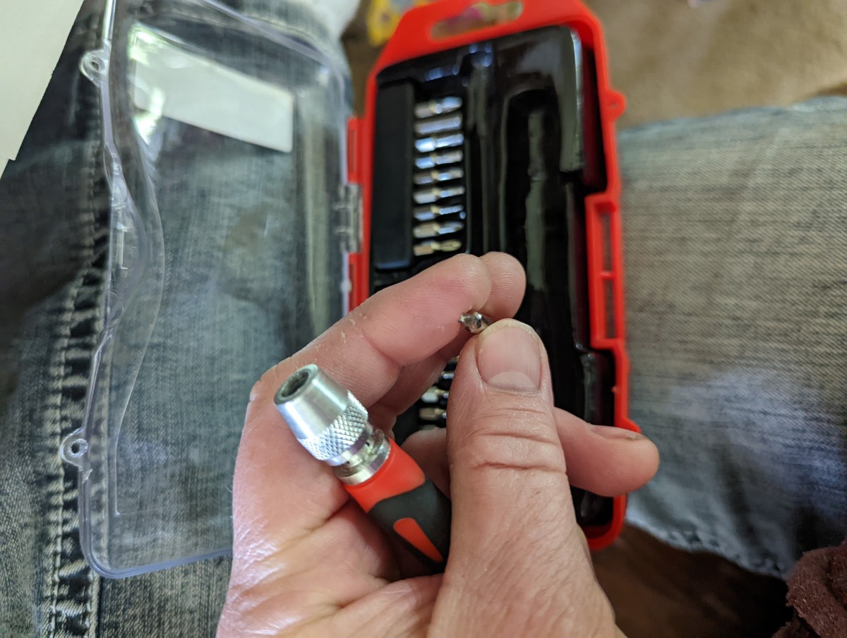 Little Live Pets - Pippy Hippy - HubPages