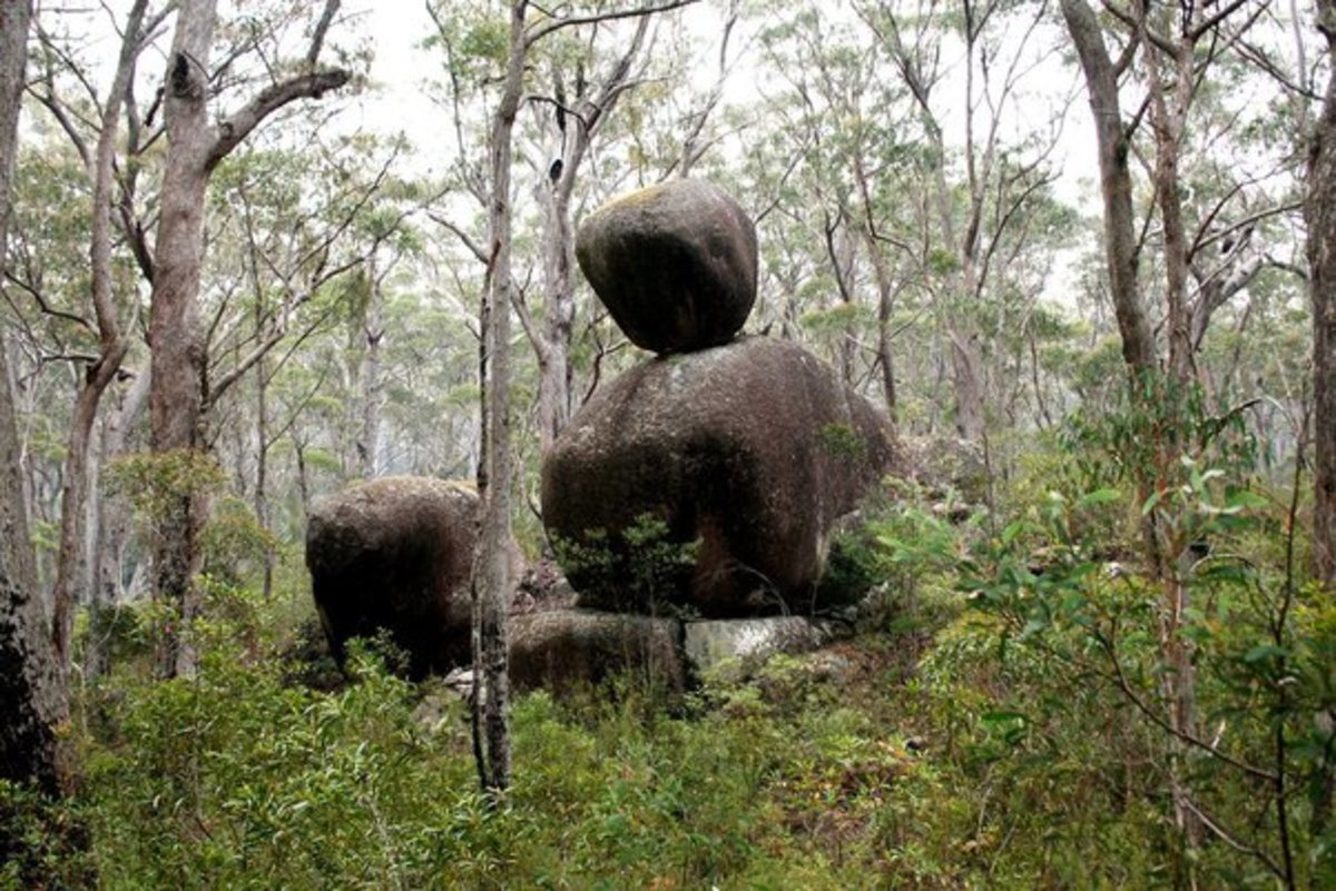 A Place of Mystery: The Oregon Vortex - HubPages