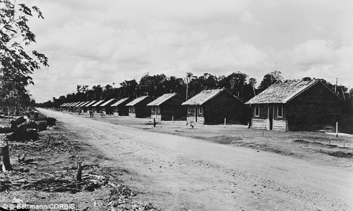 Fordlandia: Henry Ford's Jewel in the Jungle - HubPages