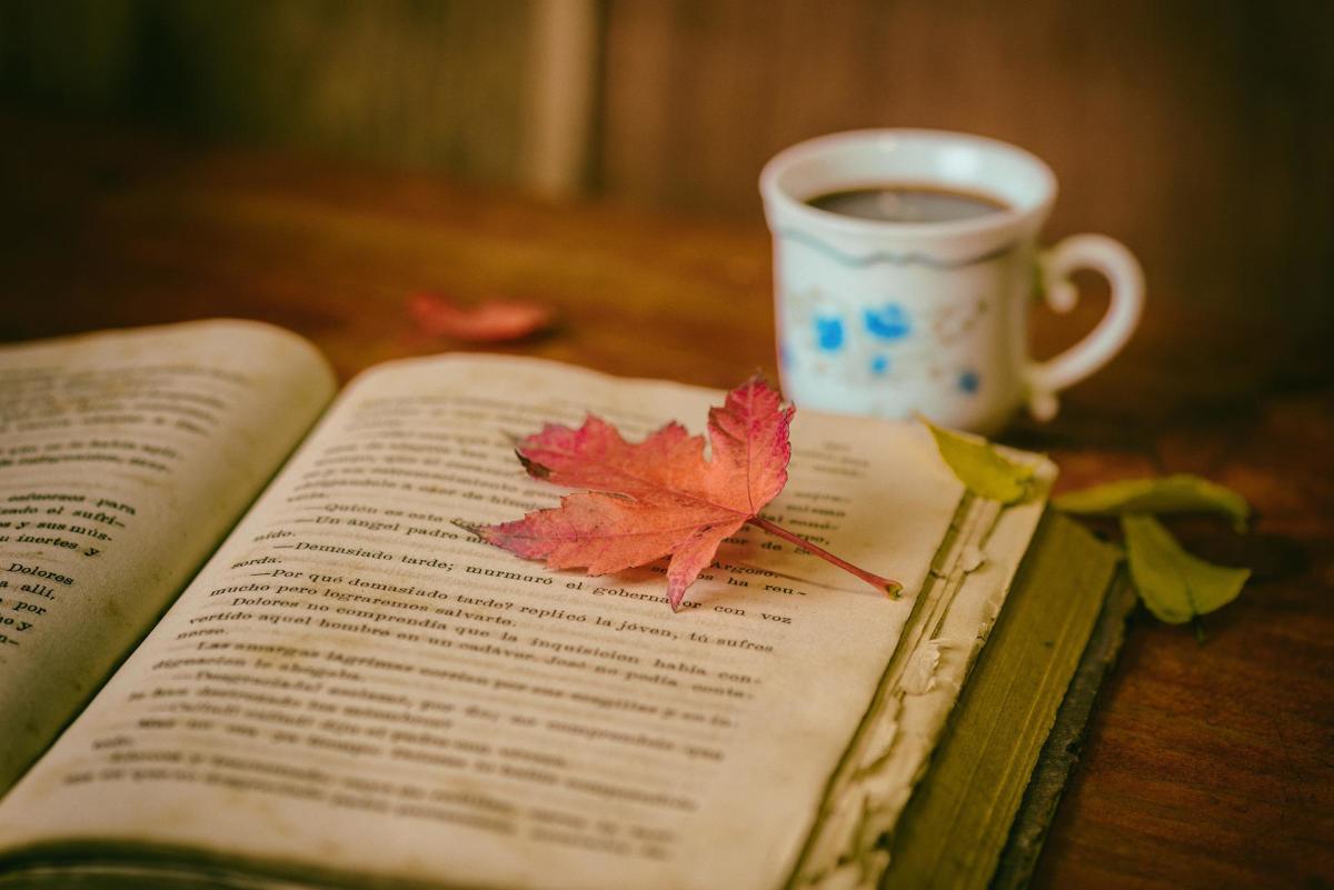 Techniques in Poetic Writing - HubPages