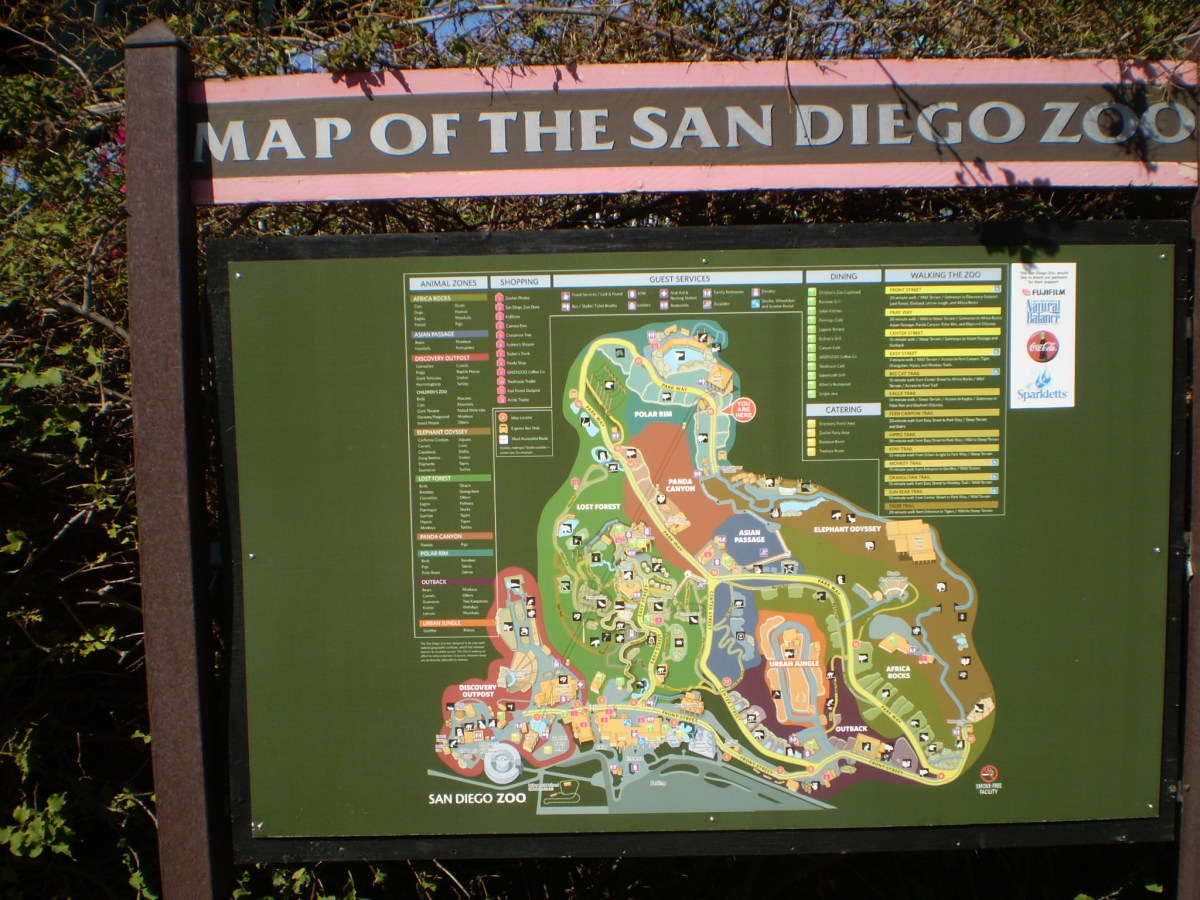 The San Diego Zoo and Safari Park - HubPages