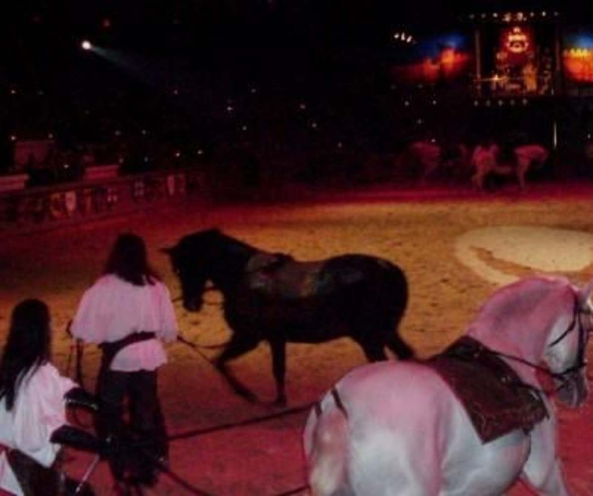 Medieval Times - A Review - HubPages