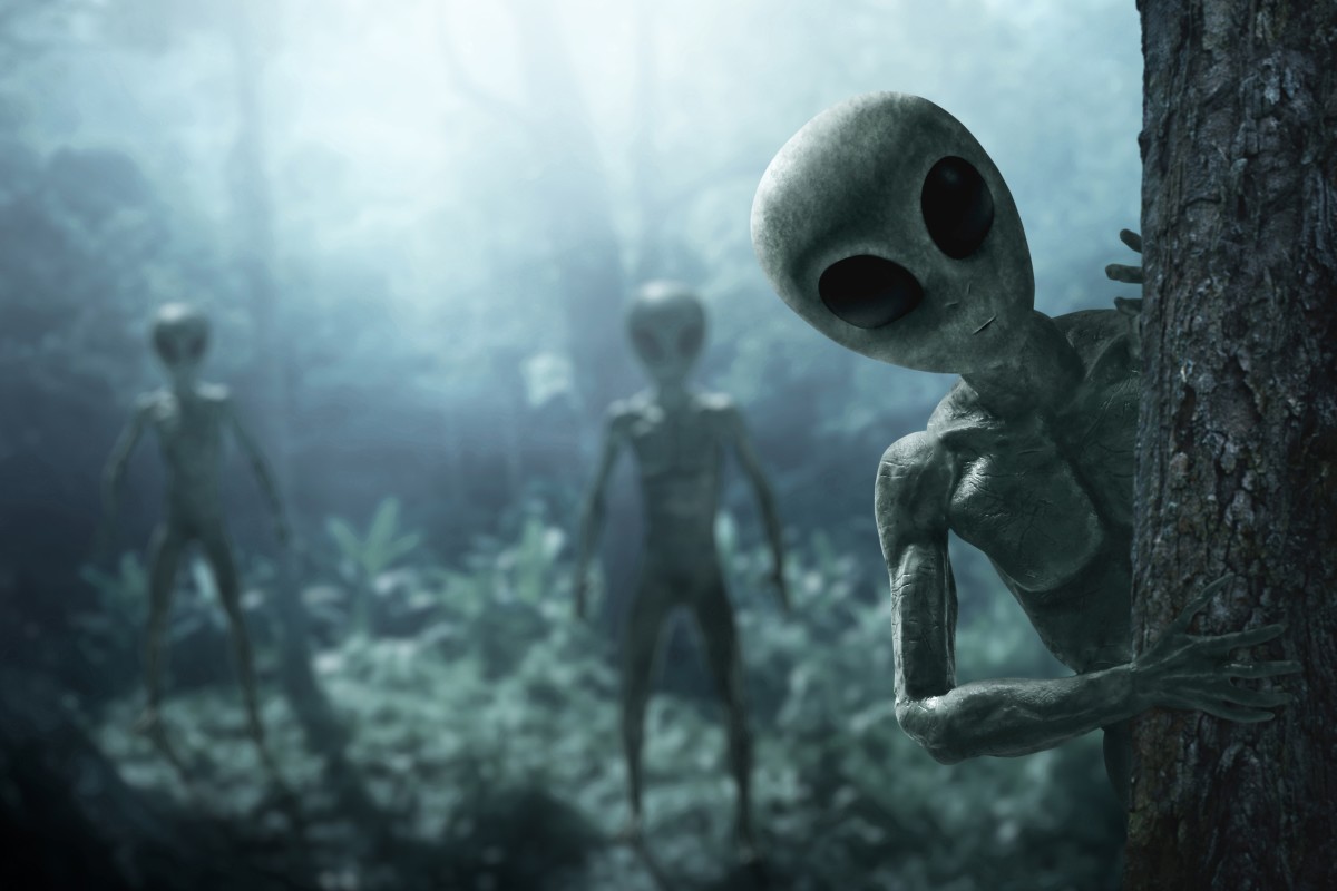 Family Thinks They Captured An Alien On Camera - HubPages