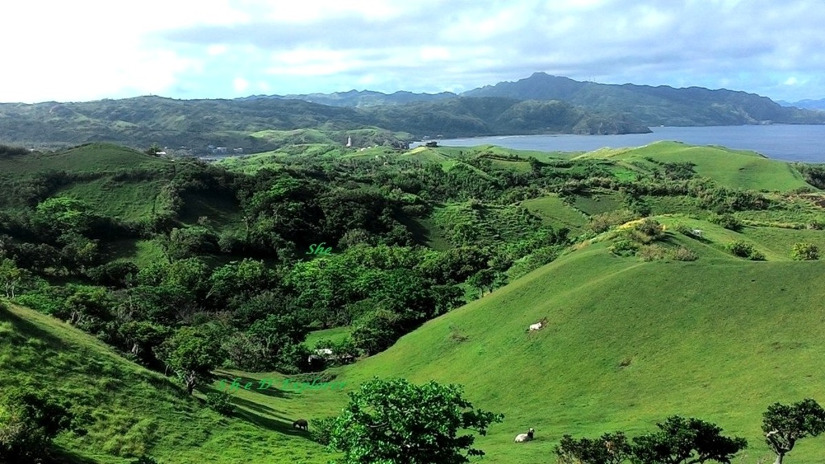 Top 5 Islands to Explore in the Philippines - HubPages
