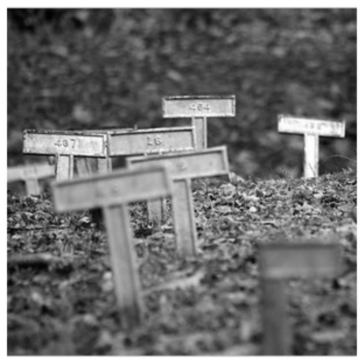 Pennhurst: The Shame of Pennsylvania - HubPages