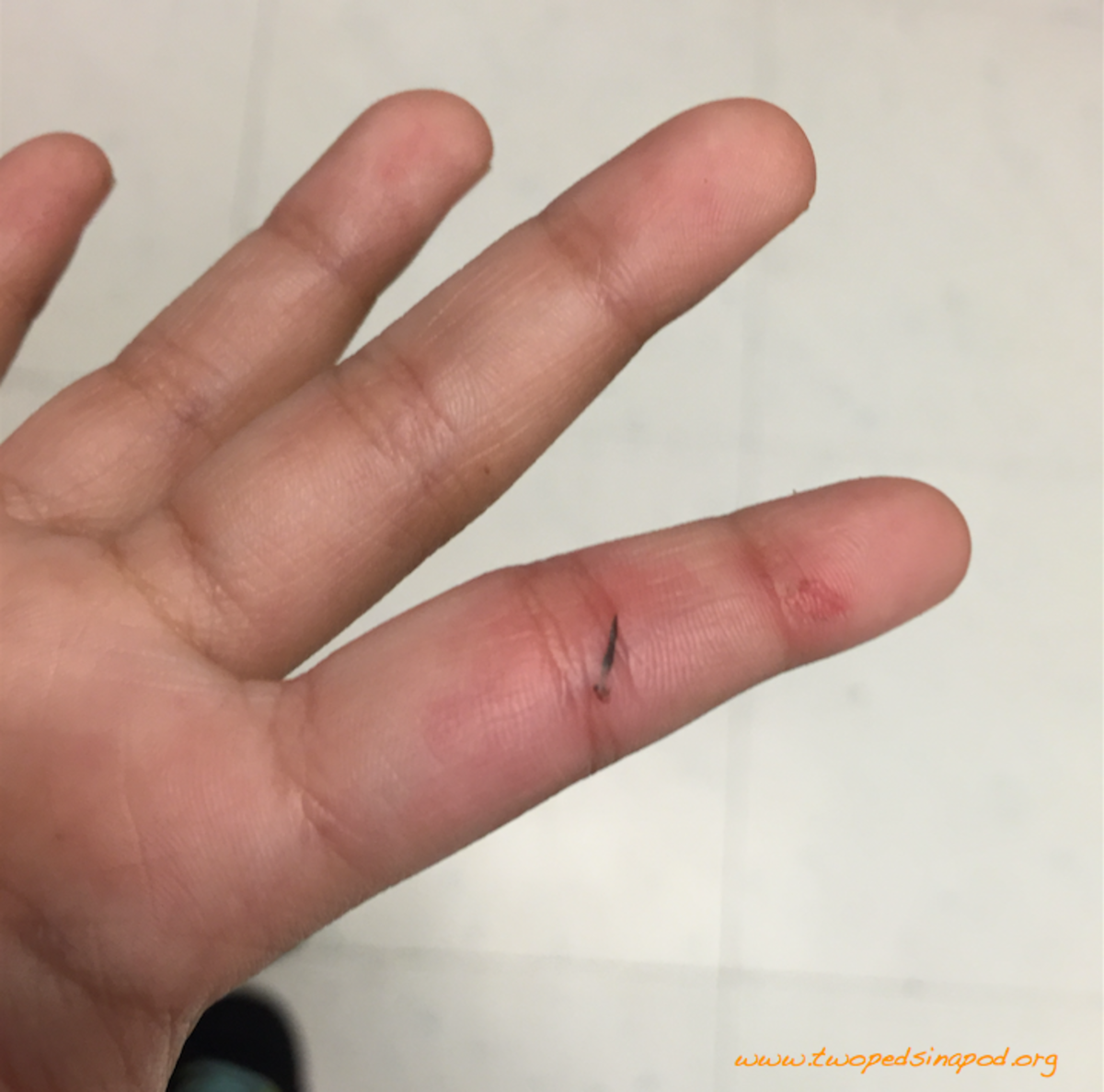 Easy Ways For You to Look Like a Genius of a Birdhouse Builder - HubPages