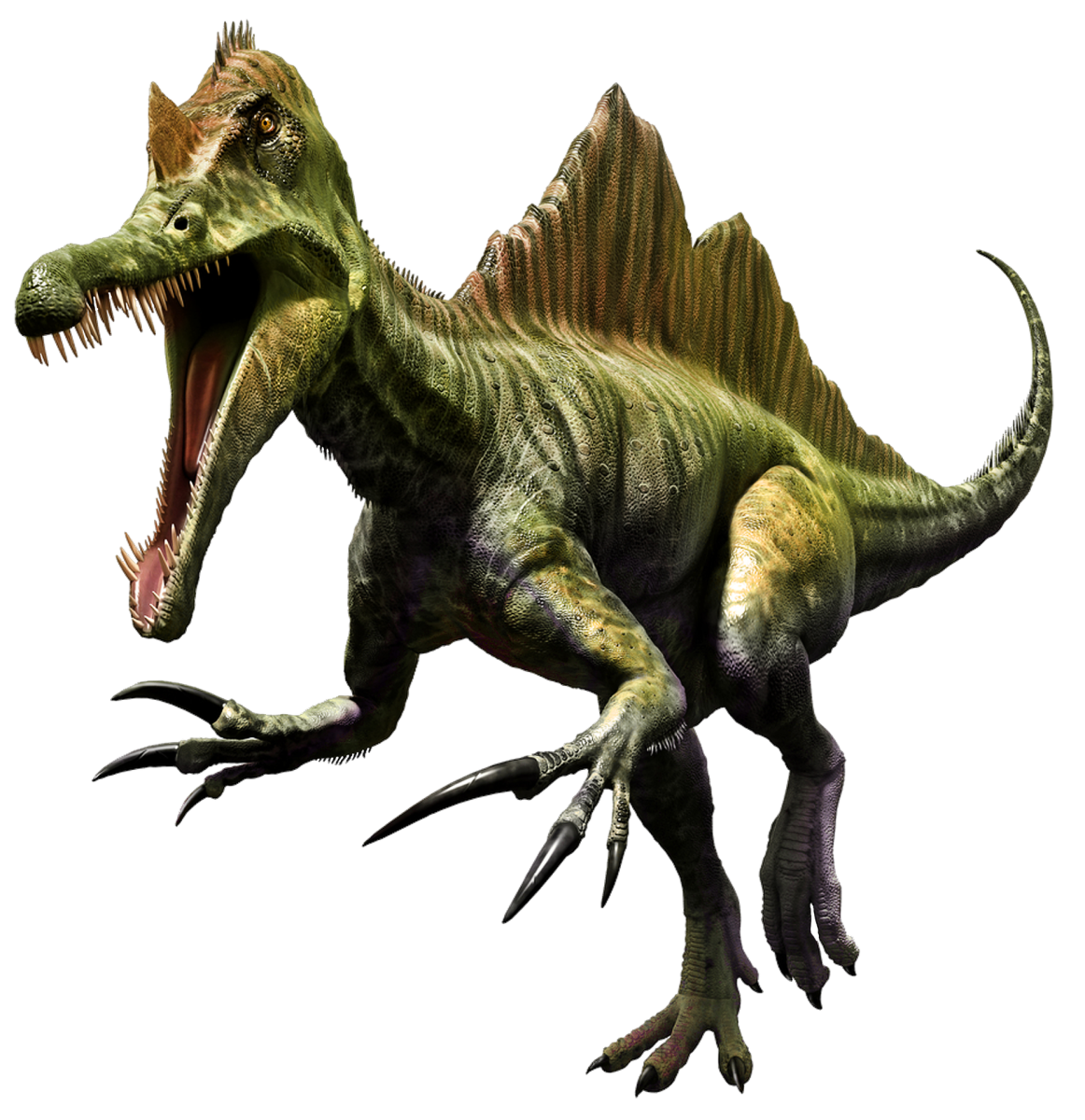 Top 7 Dinosaurs - HubPages