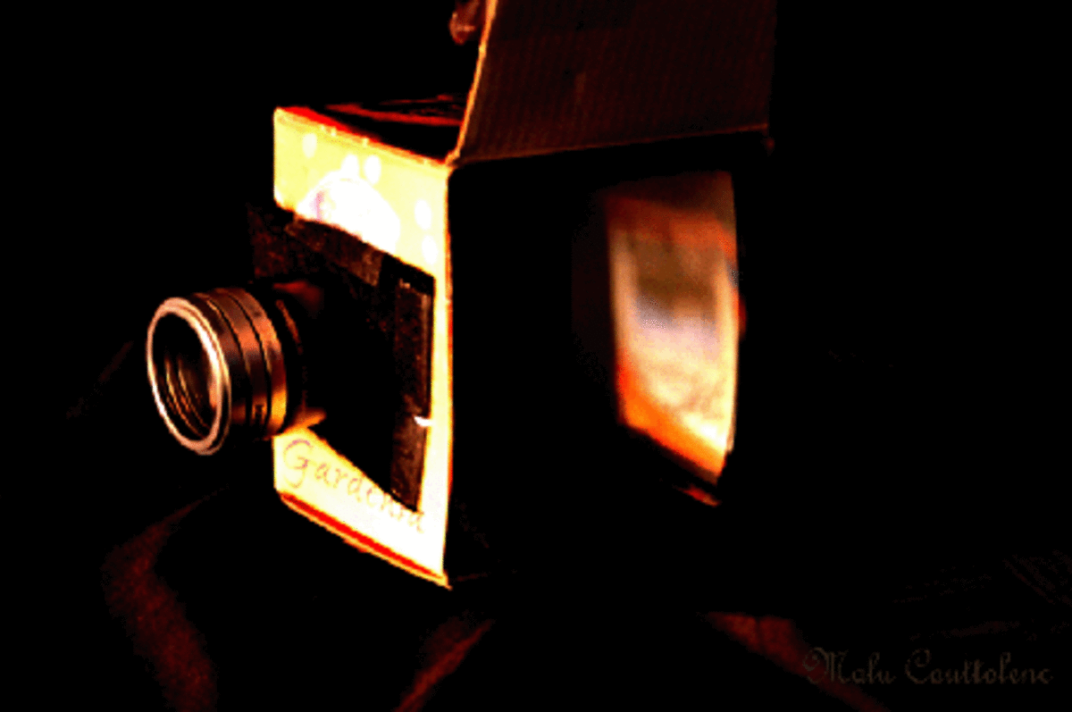 Who Invented Photography? - HubPages