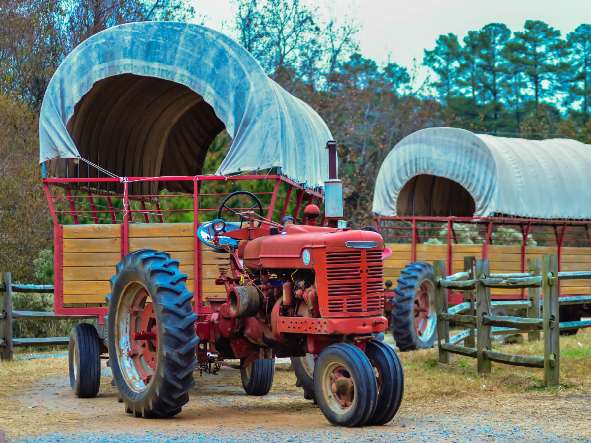Top 10 Fall Activities To Enjoy In The US HubPages top-10-fall-activities-to-enjoy-in-the-us-hubpages