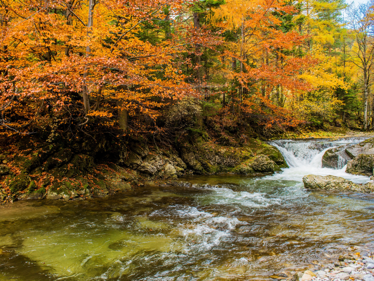 Top 10 Fall Activities to Enjoy in the US - HubPages