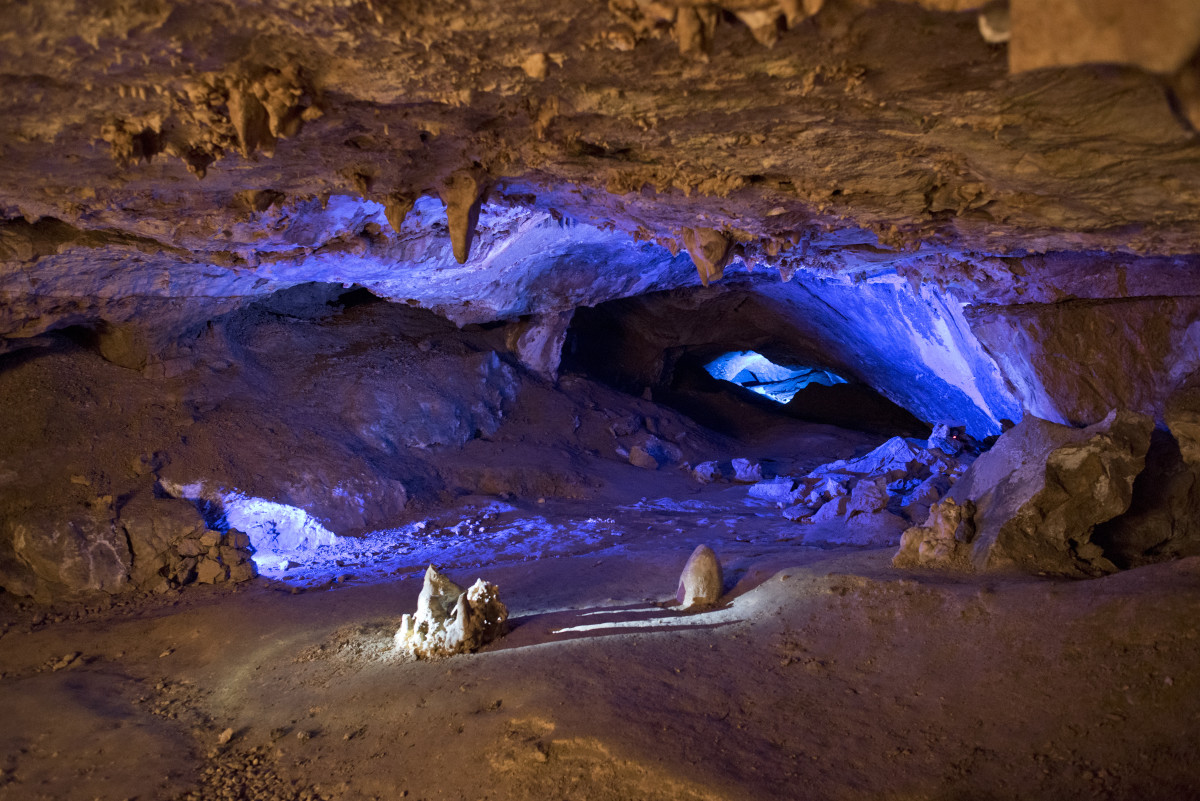 Cave Explorers Find Mysterious "Ancient" Creature Crawling on the Ice ...