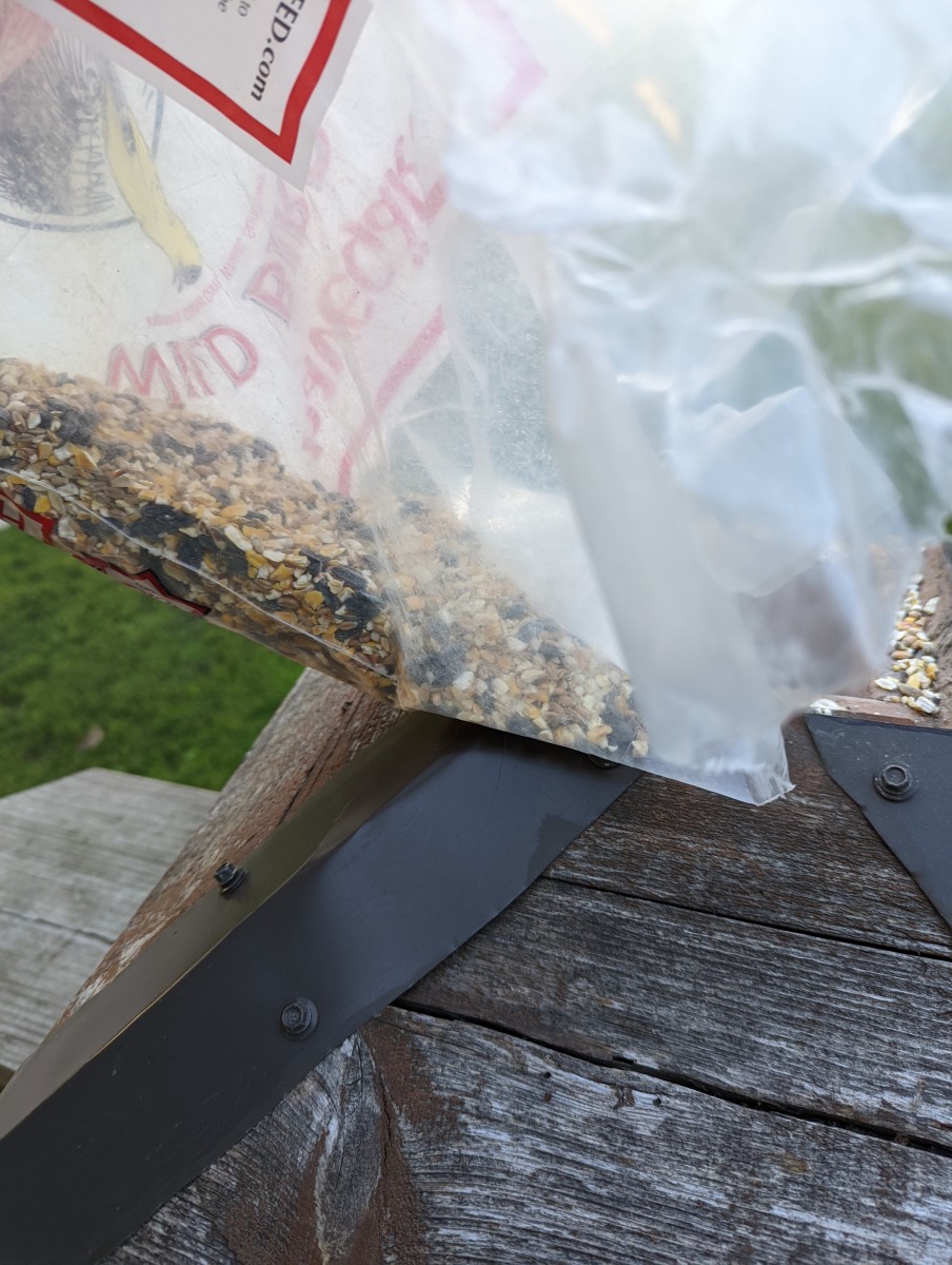 Bird Feeder Filling with Quality Bird Products - HubPages