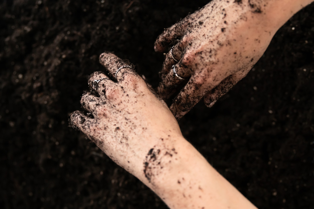 Gardener Makes Case for Why Potatoes Are the Most "Goth" of All ...