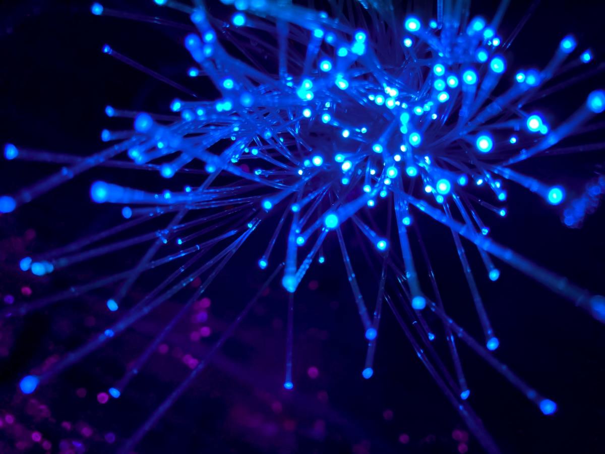 What Is Bitcoin’s Lightning Network and How Does It Work? - HubPages