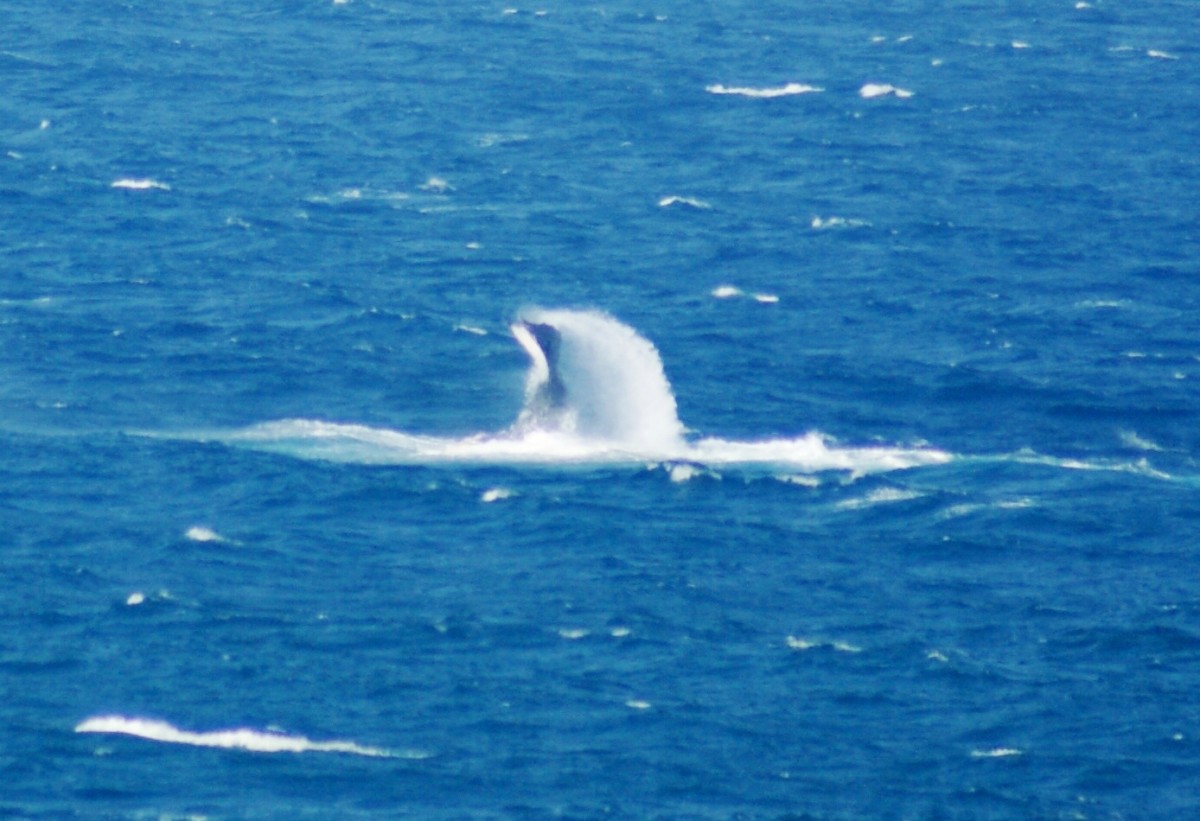 Two Surf Stories - HubPages