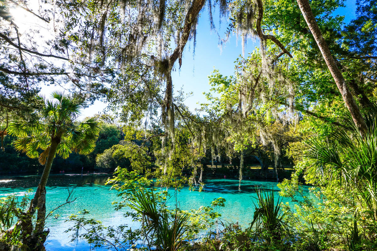 Woman s Video Of The Most Magical Place In Florida Is Not What We Woman s Video Of The Most Magical Place In Florida Is Not What We