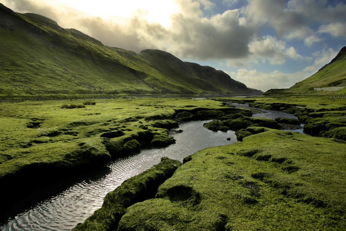 Man Stumbles Across a Natural Spring in Scotland and People Are ...