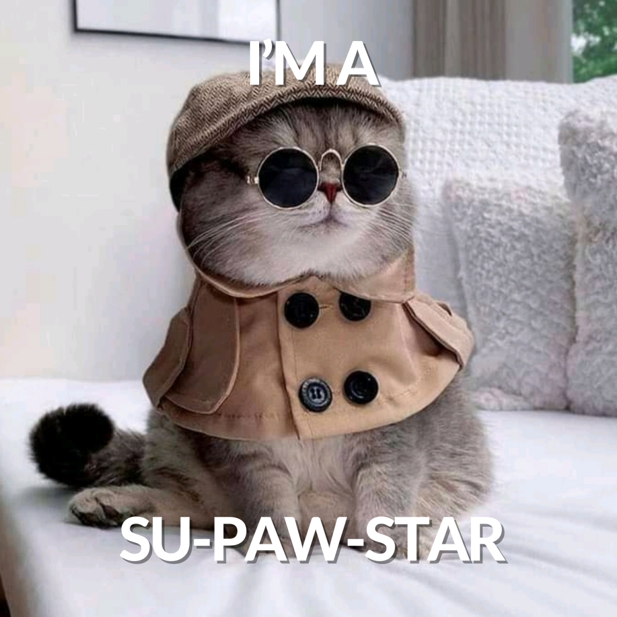 60+ Purr-fect Cat Puns That Are Totally Paw-some - LetterPile