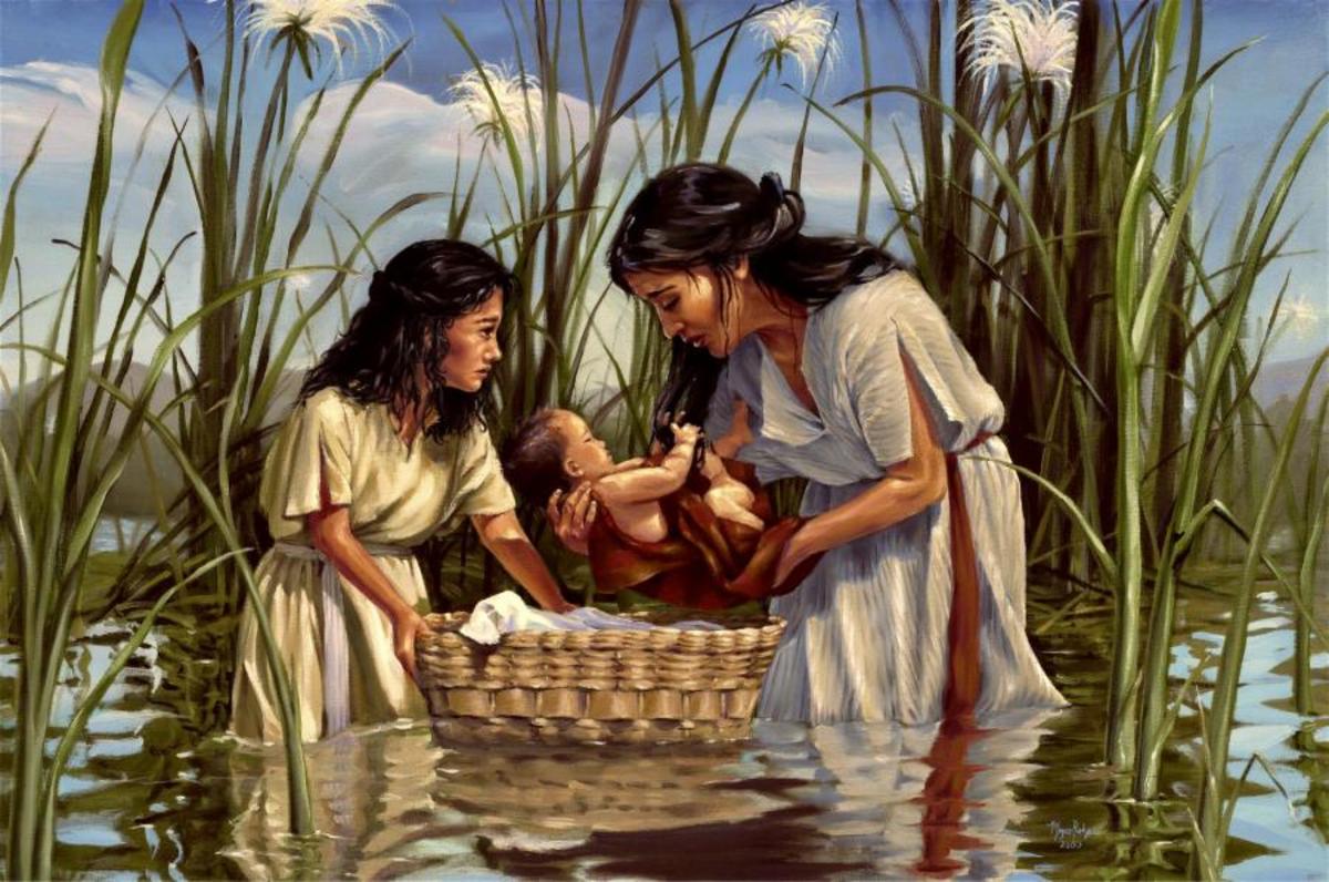 The Book of Exodus for Beginners: Chapters 1-4 - HubPages